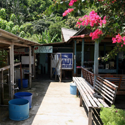 Sebukang Bay Resort, Pulau Aur